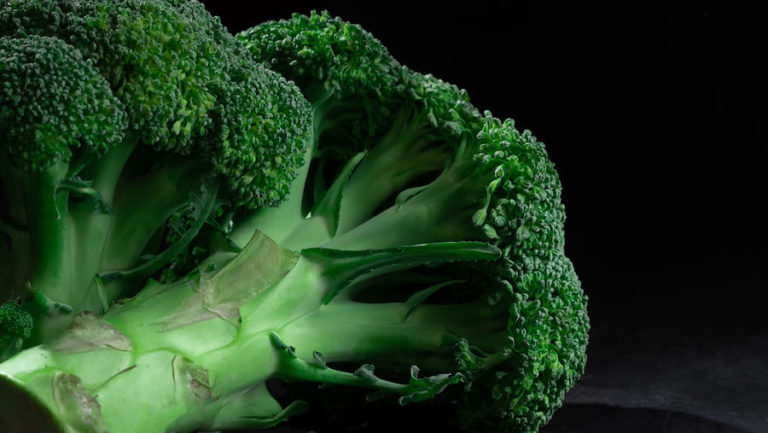 Broccoli: Little Trees with Big Results - Wellness360 Magazine