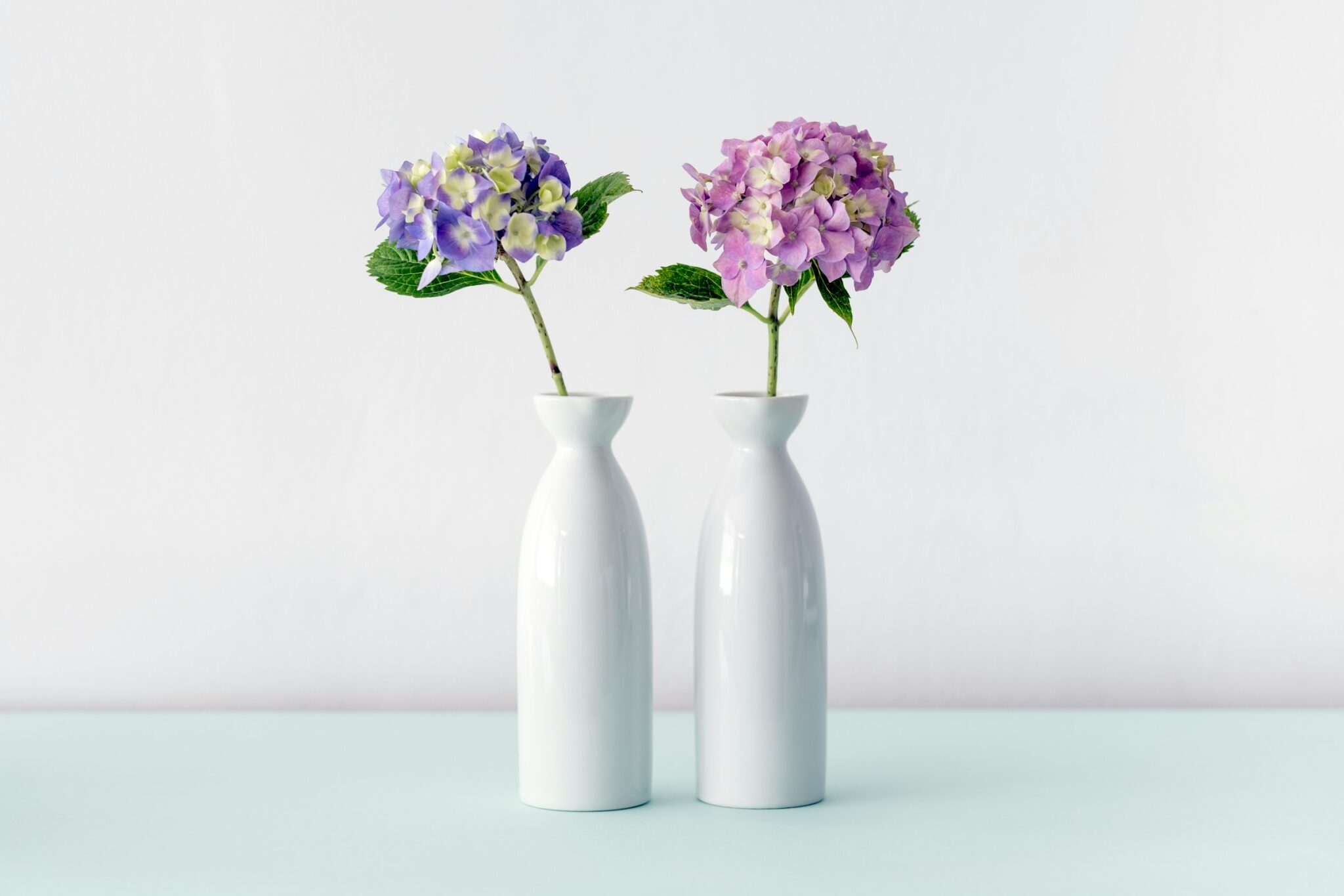 Vases: The Ultimate Accessory for Your Seasonal Flowers - Wellness360 ...